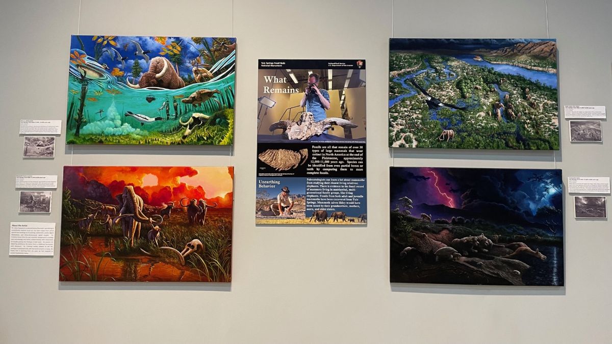 New Traveling Exhibit Coming to LCM | Lost City Museum
